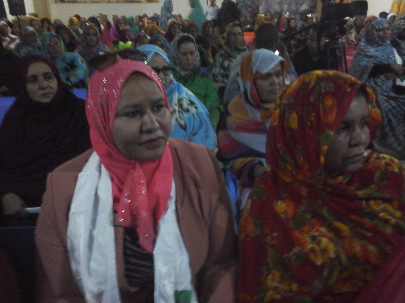 National Union of Sahrawi Women.: Summary of the International ...