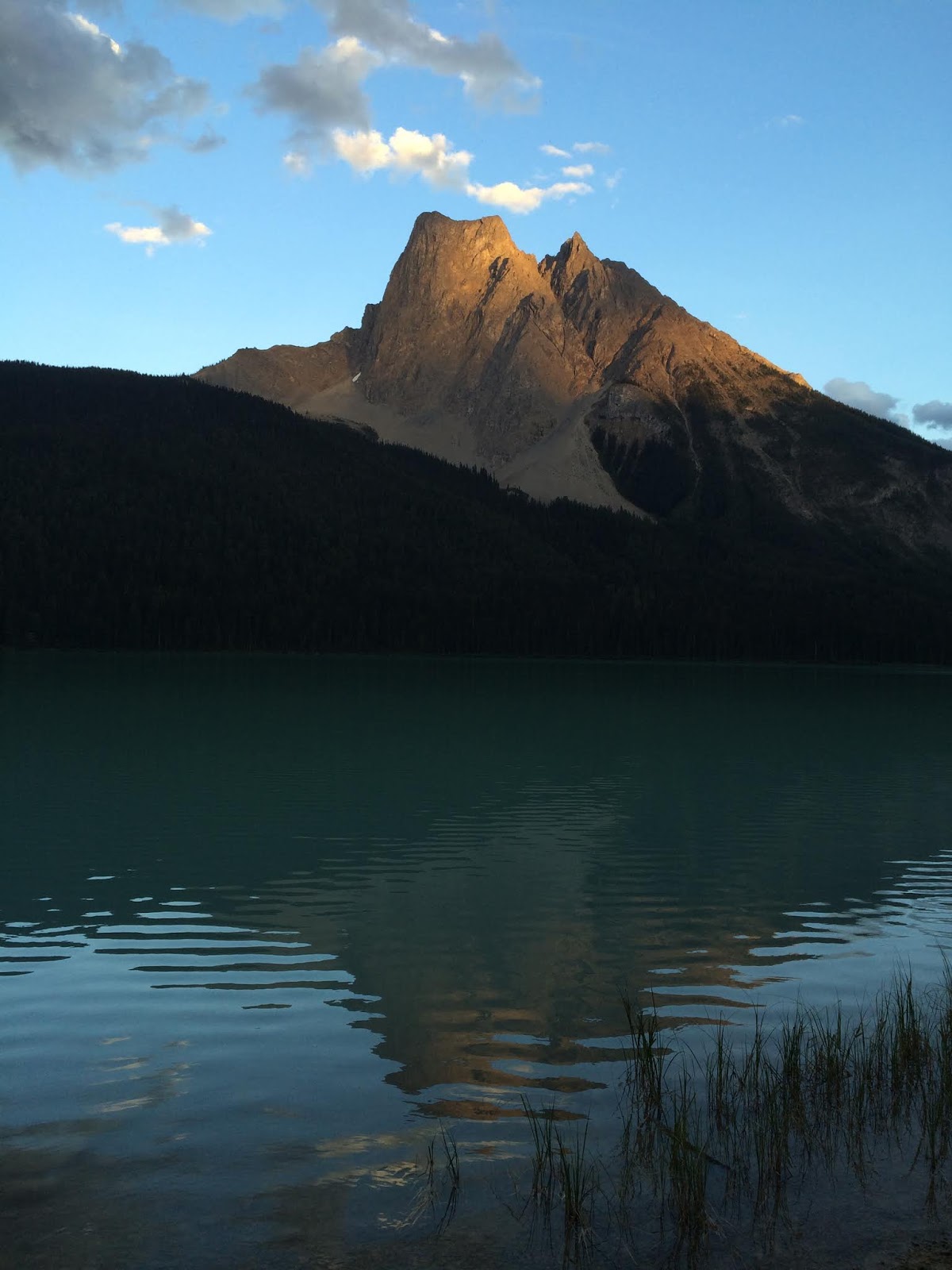 The Helpful Art Teacher: Photography 101: types of camera shots