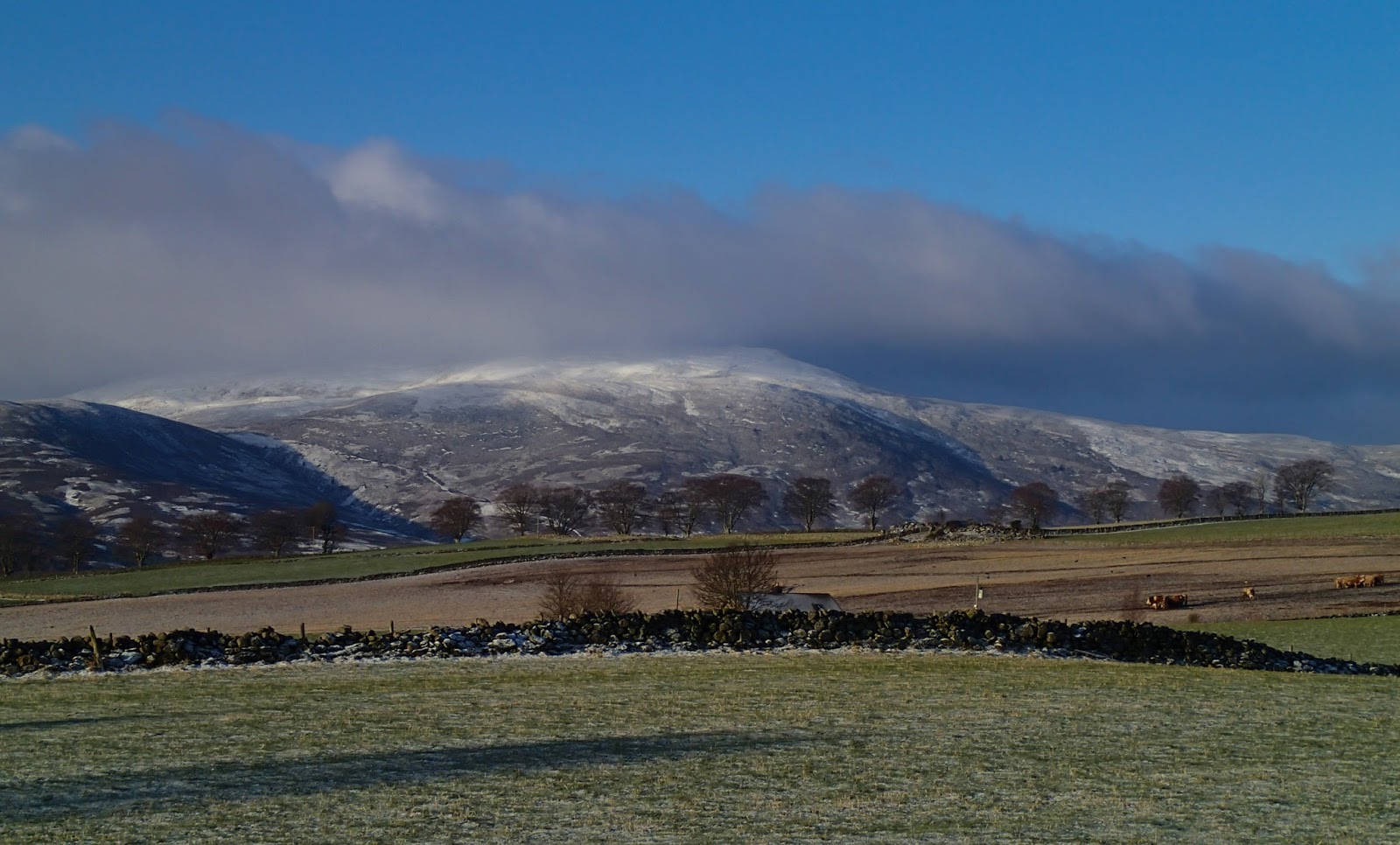 Mountain and Sea Scotland: A winter day on Morven