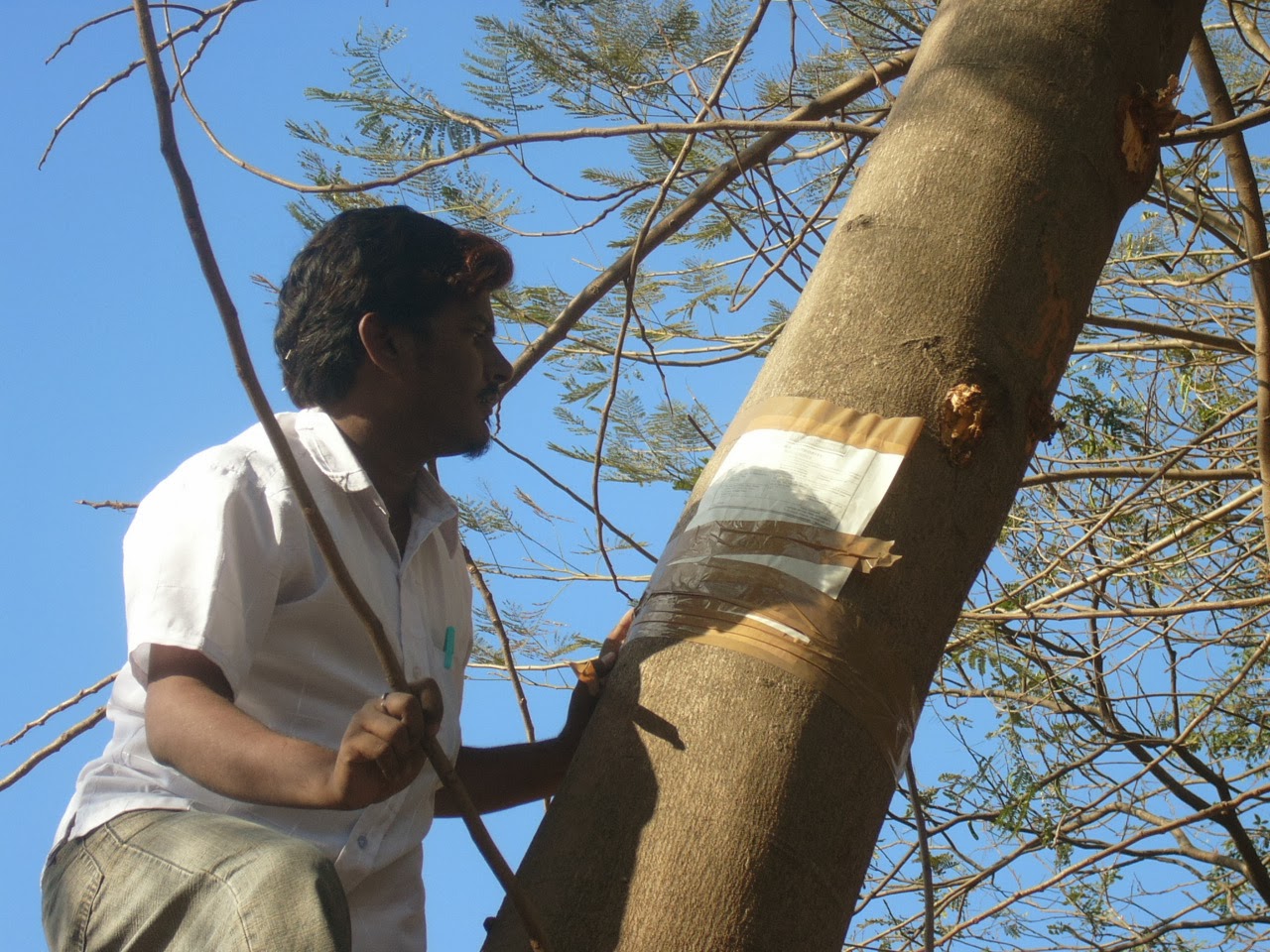 Sunish Subramanian Kunju : Sunish Subramanian Kunju Activities Photographs