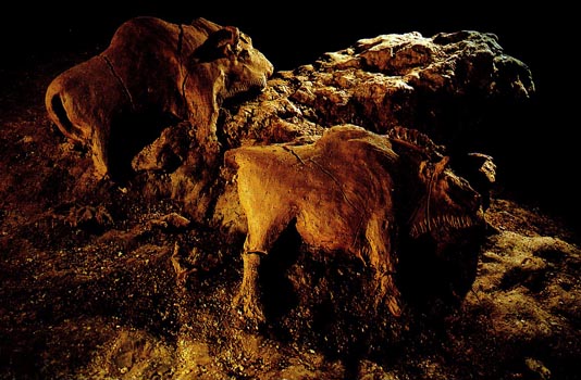 THE UNIFIED FIELD ORGAN PROJECT: THE BISON CAVE PAINTING THEORY