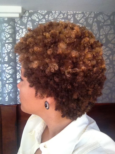 Afro Mio by Steph: Teñir o no teñir tu pelo natural: Mi experiencia ...