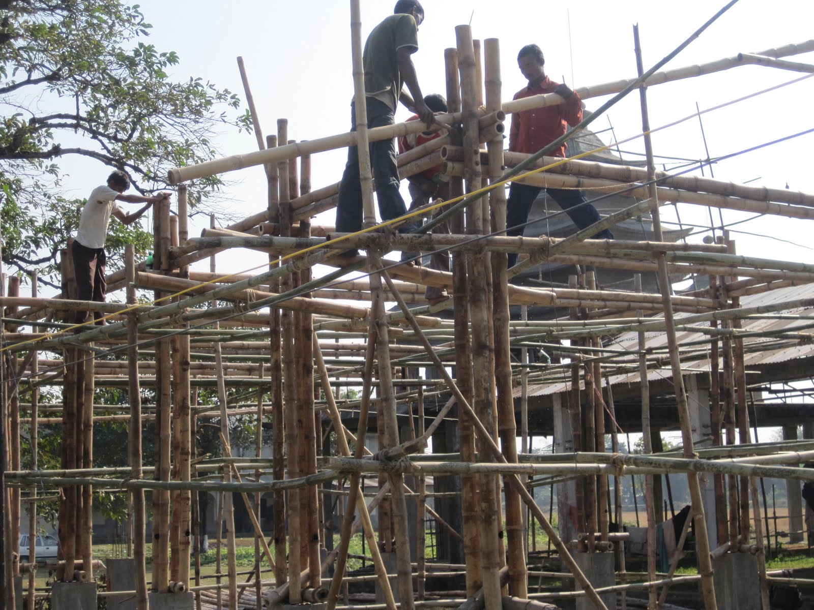 BODOLAND BAMBOO DEVELOPMENT BOARD