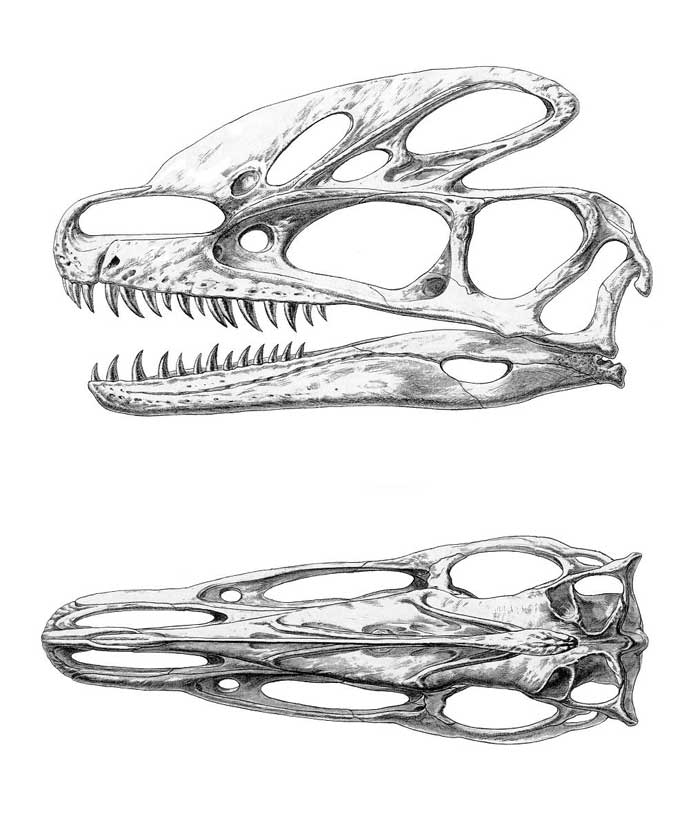 Species New to Science: [Paleontology • 2006] Guanlong wucaii 'crown ...