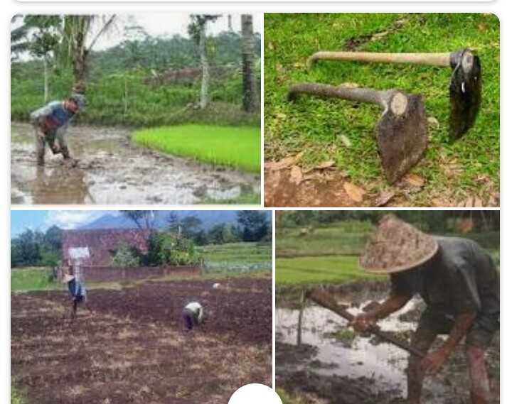 PENGOLAHAN TANAH