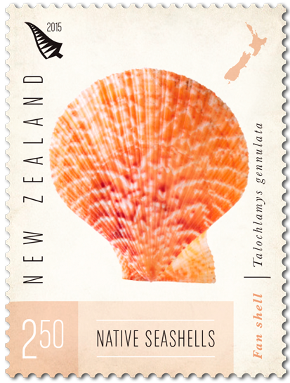 2015 New Zealand Native Shells