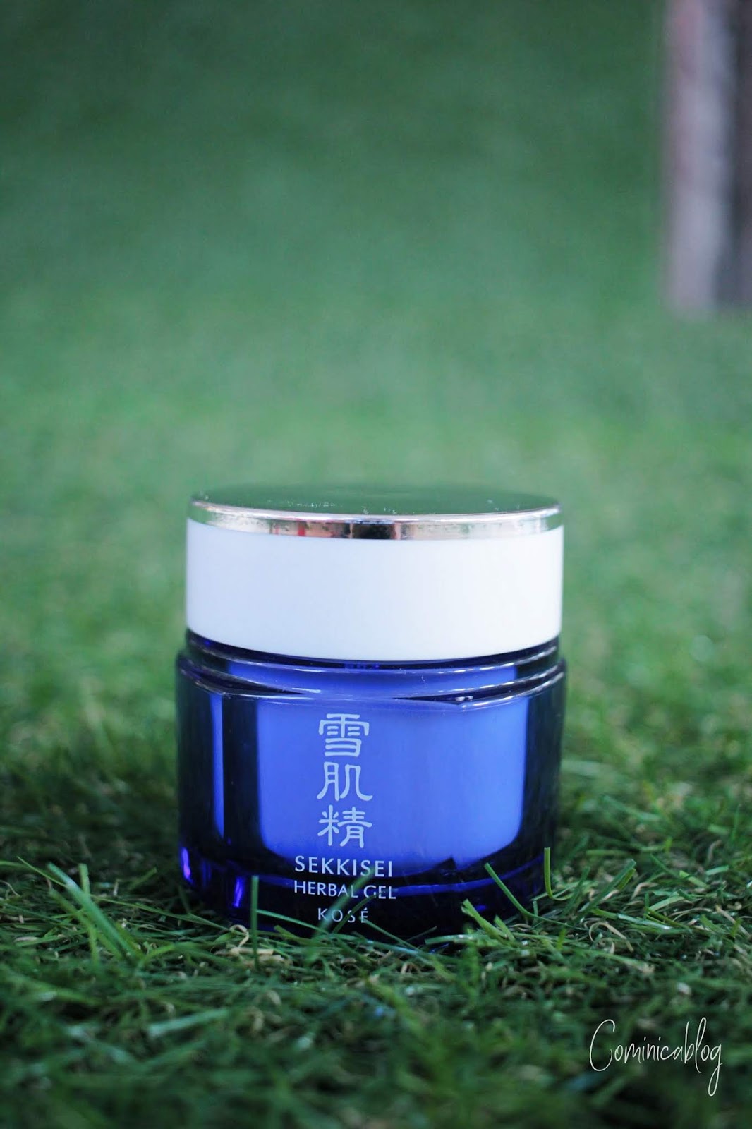 Cominica Blog ♔: KOSE Sekkisei Herbal Gel Review
