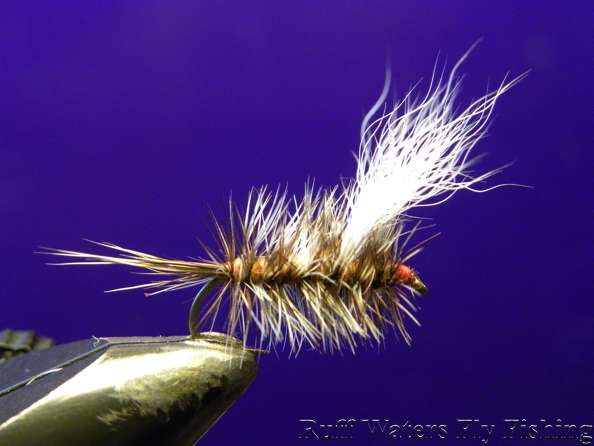 Ruff Waters Fly Fishing: Adirondack Brook Trout