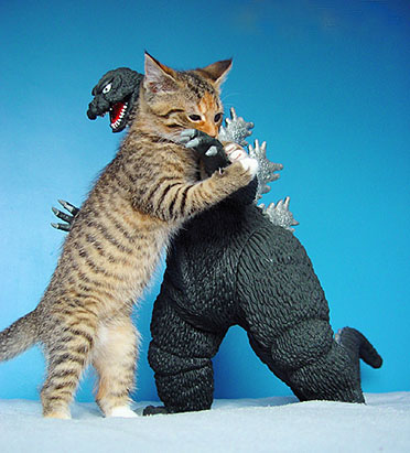 Cat against godzilla - OMG ! NiceOne