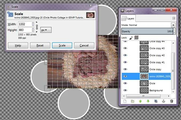 PhotoEffect: How to Make a Circle Photo Collage In GIMP