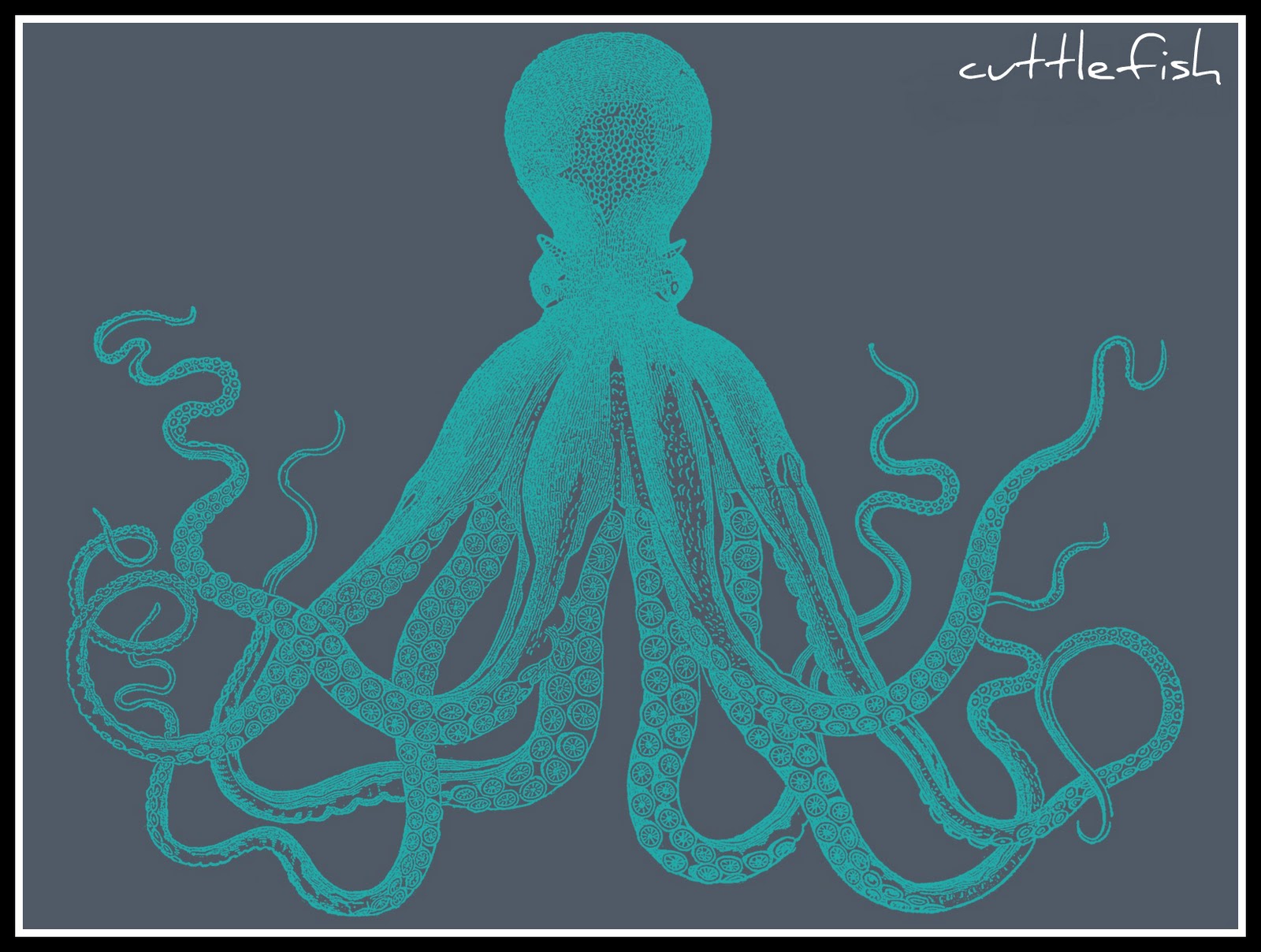 DIY Free Octopus Art