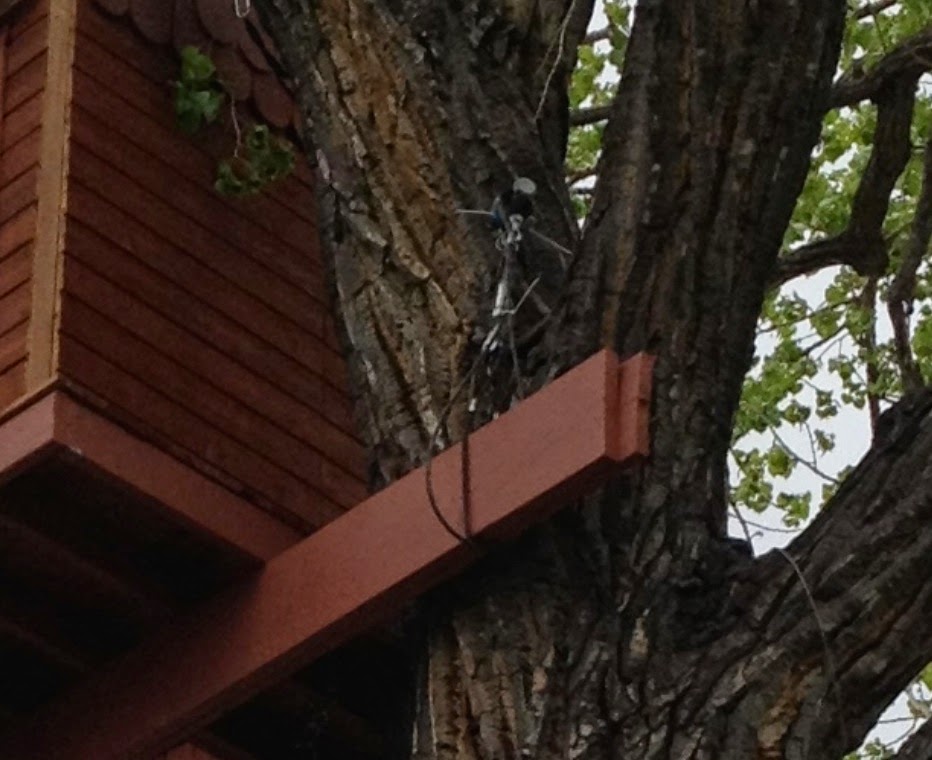 The Treehouser: Treehouse Story: The Mystery of the Loose Cable