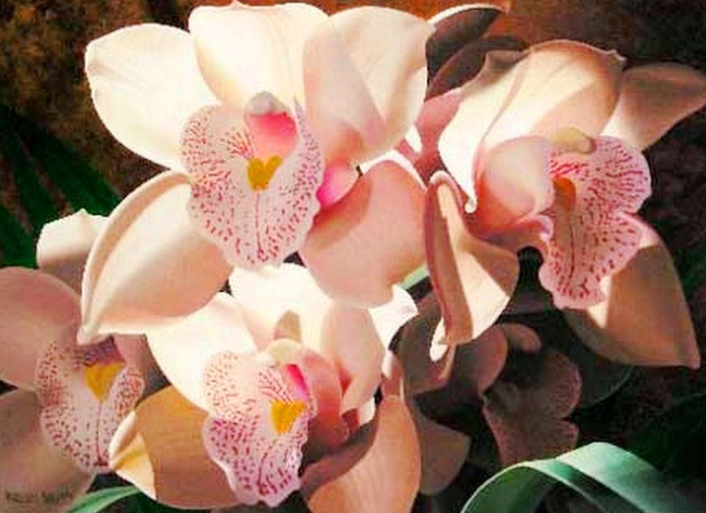 El arte es su máxima expresión : Flores Modernas Cuadros