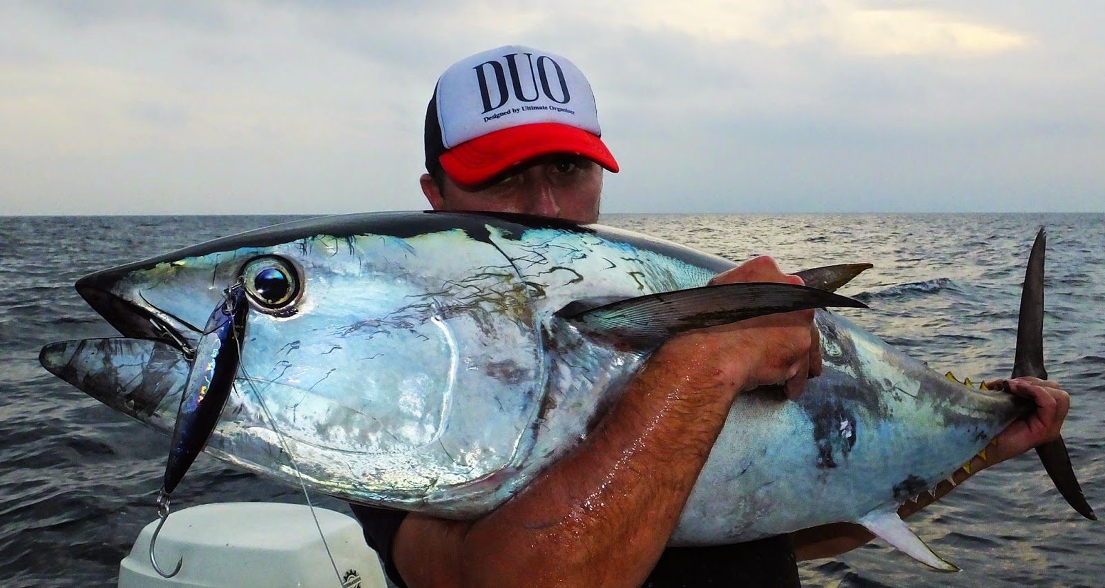 Raúl Marti : la pesca del Atún a superficie