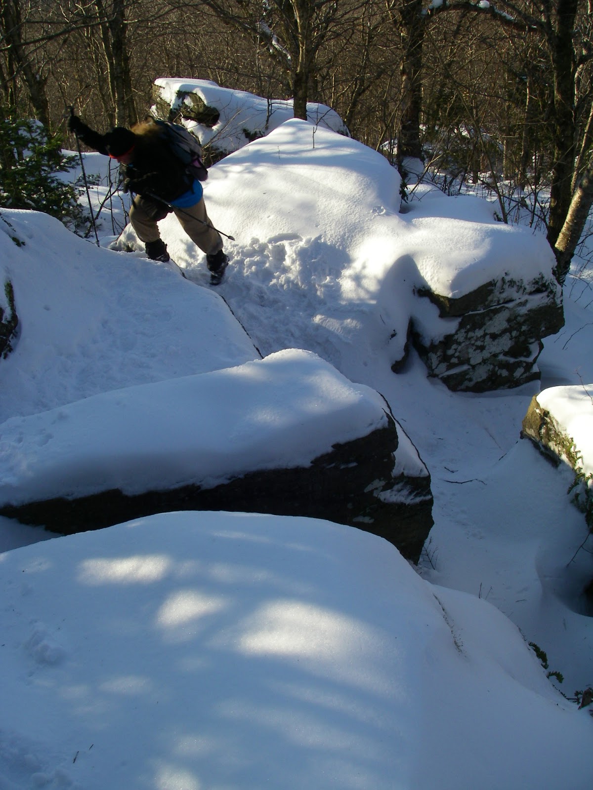 Peaks & Paths: Giant Ledge & Panther Mountain