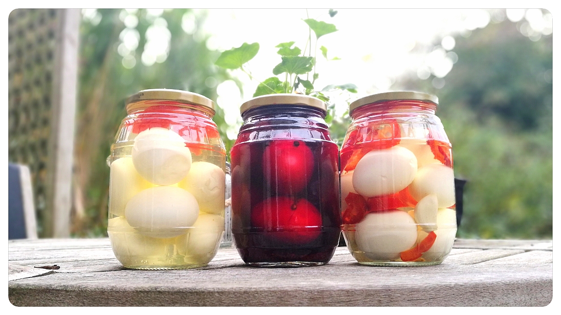IrishBeerHistory: Food: Recipe - Pickled Eggs with Jalapeños & Garlic