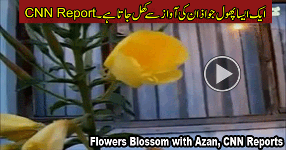 Flowers Blossom with Azan, CNN Reports - Best Right Way