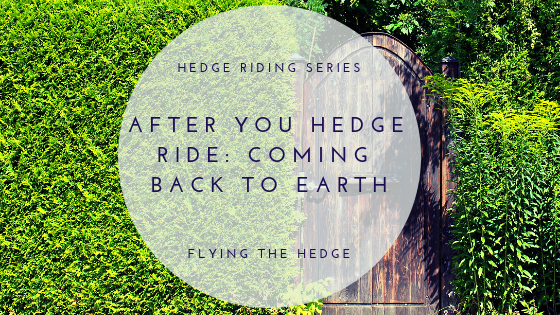 Flying the Hedge: Hedge Riding Series: After You Hedge Ride: Coming ...