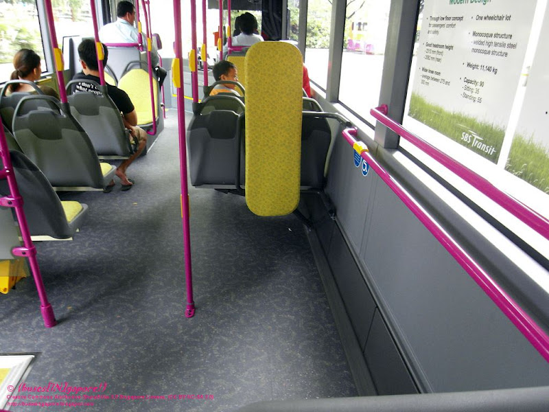 (buses[IN]gapore!): SBS Transit : Mercedes Benz Citaro O530 / EvoBus