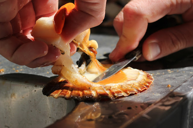 Cooking with Carina: How to shuck a scallop