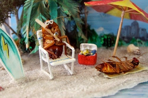 The Cockroach Hall of Fame Museum ~ Nigeria:Yesterday,Today and Tomorrow