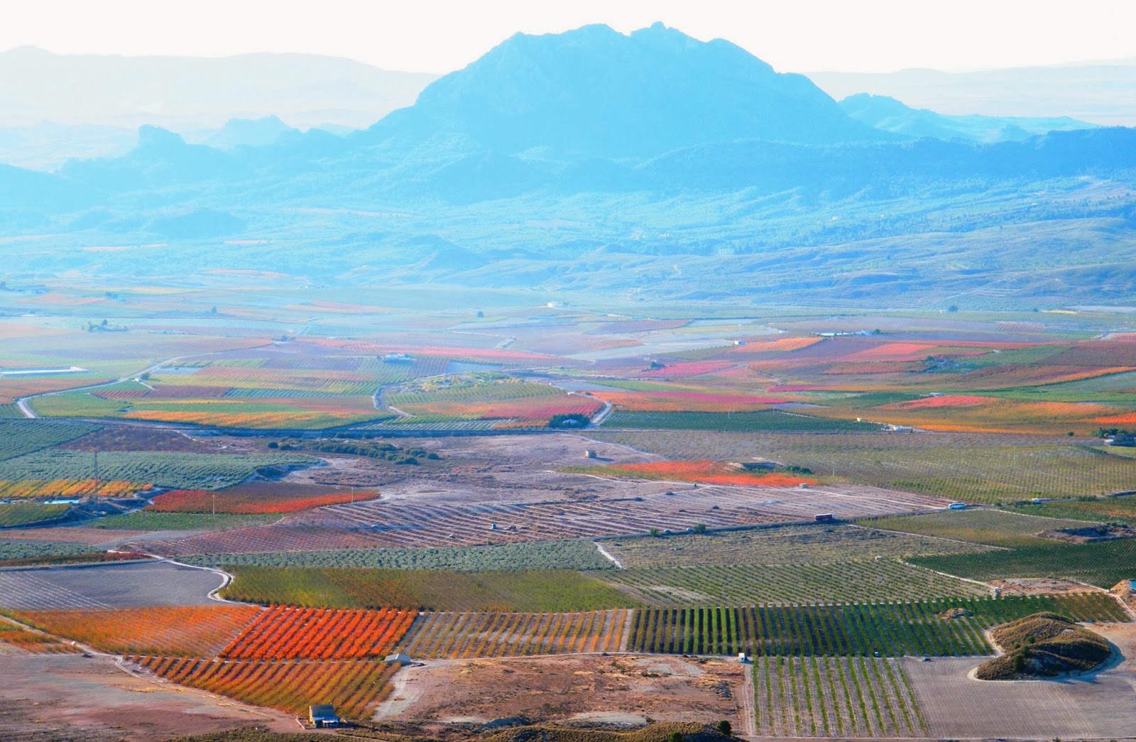 Rutas de Cieza: Colores de Otoño en Cieza