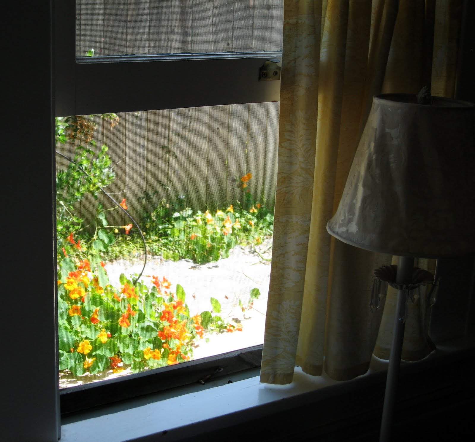 Sunshine through the window...