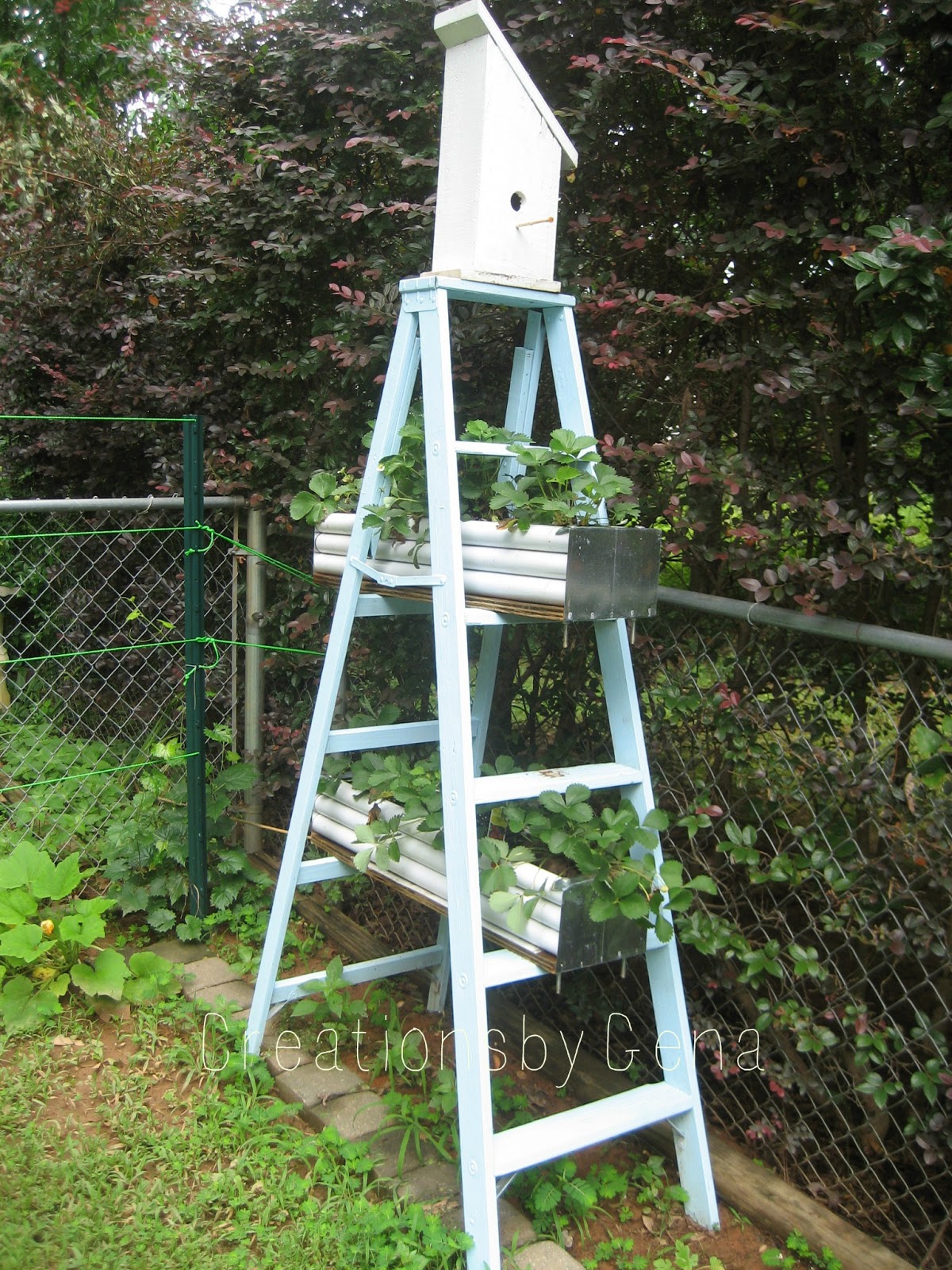 CreationsbyGena♥ : My recycled strawberry ladder planter inspiration