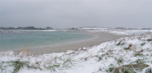 Guernsey Gulls: Snow Gulls!