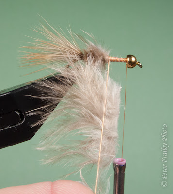Fishing With Flies :: Blog: Step-by-steps for the "One Feather Fly"