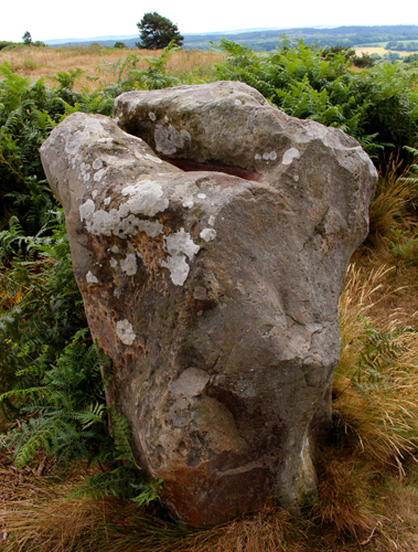 Paintwalk : The Devil Stone Bere Regis Dorset Megalith