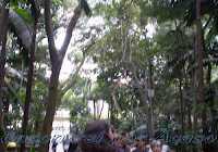 Parque Trianon. Um “oásis” dentro da “selva de pedra”. - Encontrei por ...