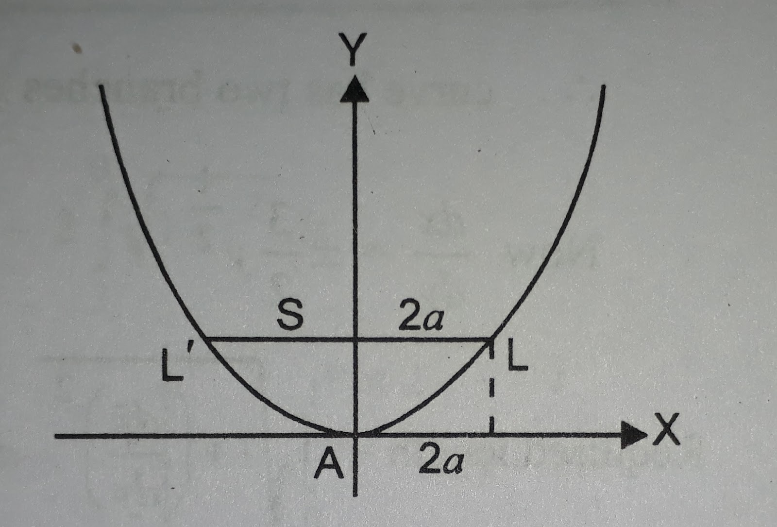 Rectification of curve ~ Easy to understand maths