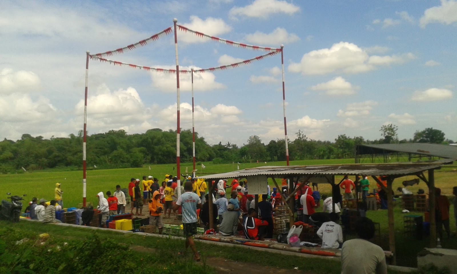 HASIL SELENGKAPNYA LOMBA MERPATI KOLONG EVENT PPMKY 2016 SERI XIII DI ...