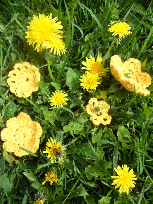 omⒶ KOPPA: Voi KUKKA!