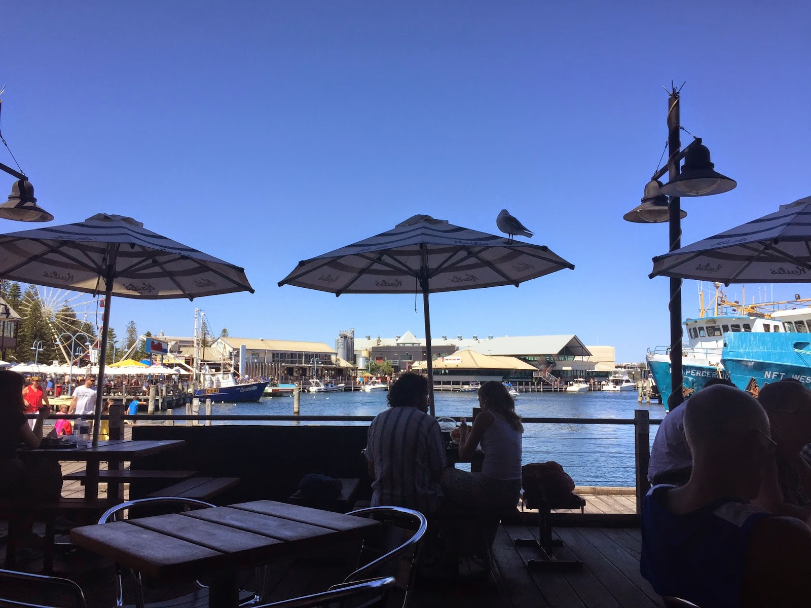 food+road trip: Kailis Fish Market Cafe @ Fremantle, Australia.