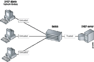 DHCP (Dynamic Host Configuration Protocol) ~ Networking