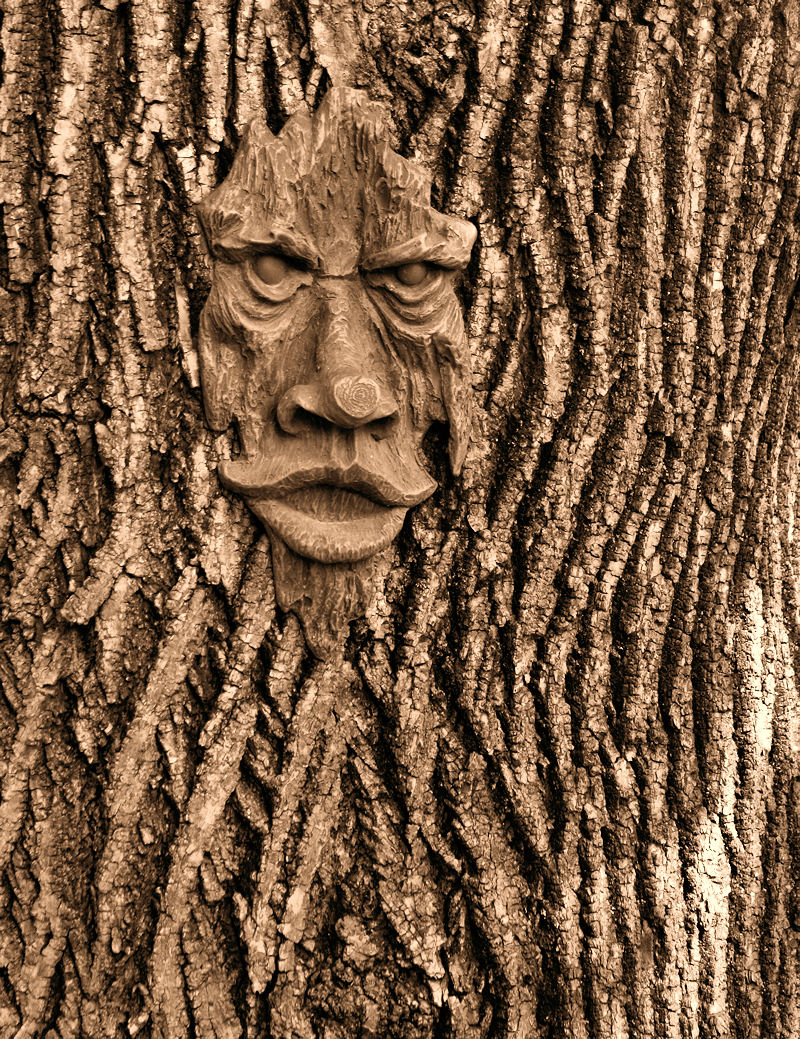 JunkinJane: My Tree Man Face