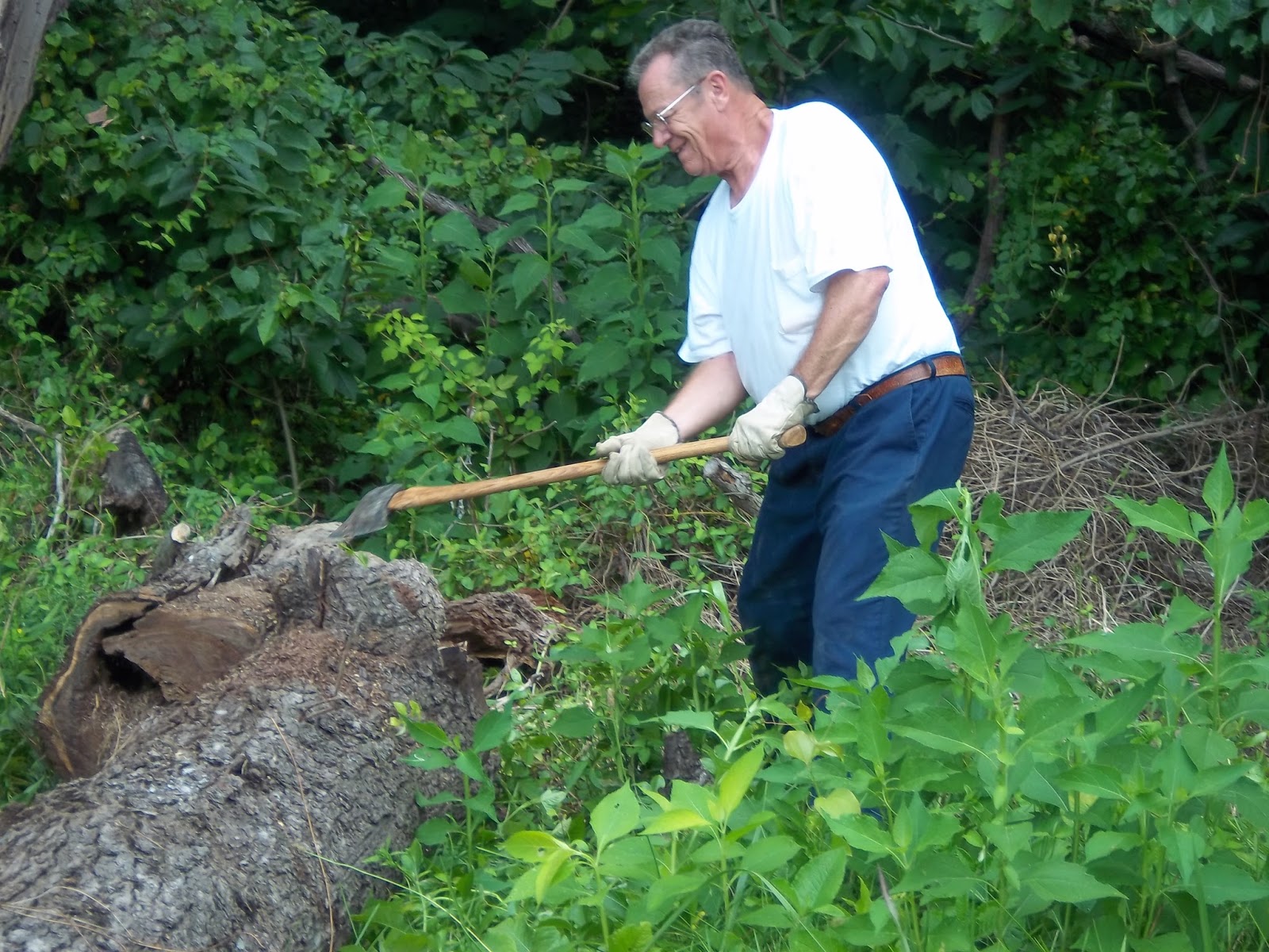 Adventure's with Terry: When you leave home you never know where you'll ...