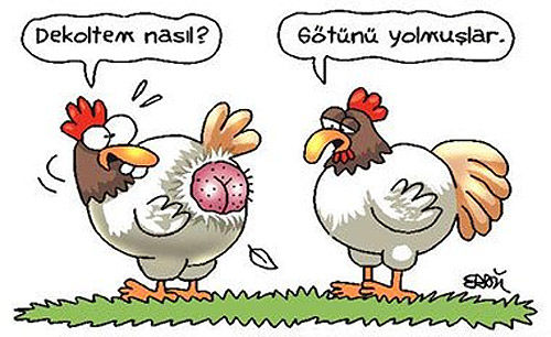 KOMİK RESİMLER-Manzaralar