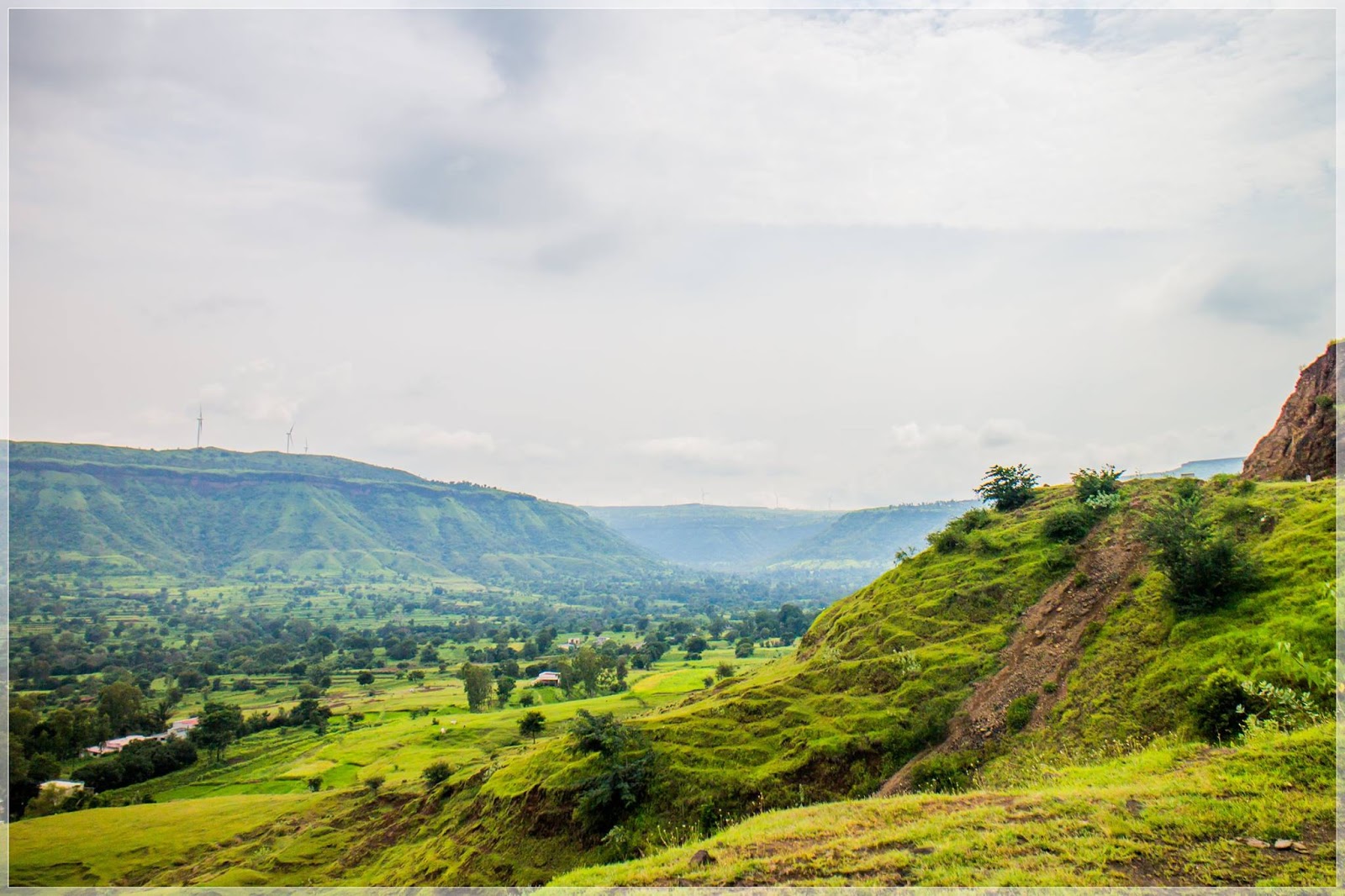 Field Clicks: Kaas Plateau, Bamnoli and Thoseghar... in high places