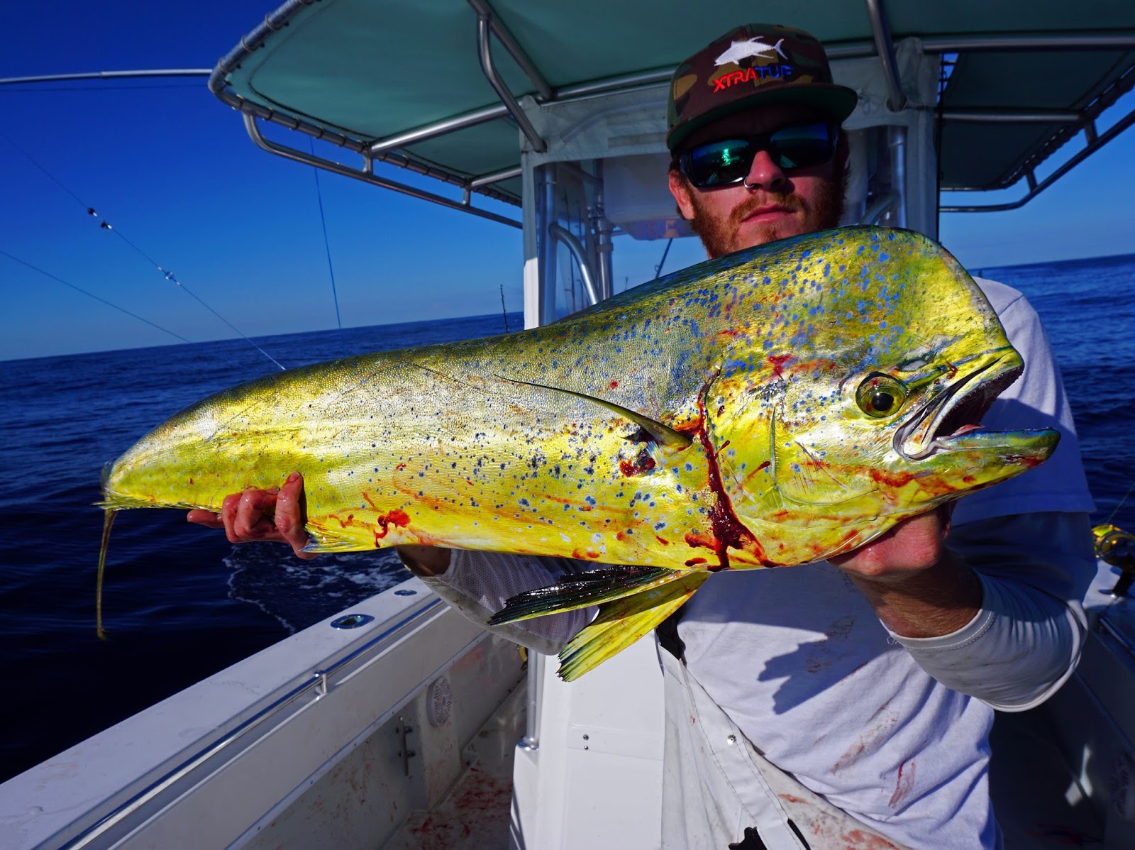 Jay Brooks Fishing: Tuna Tuesday