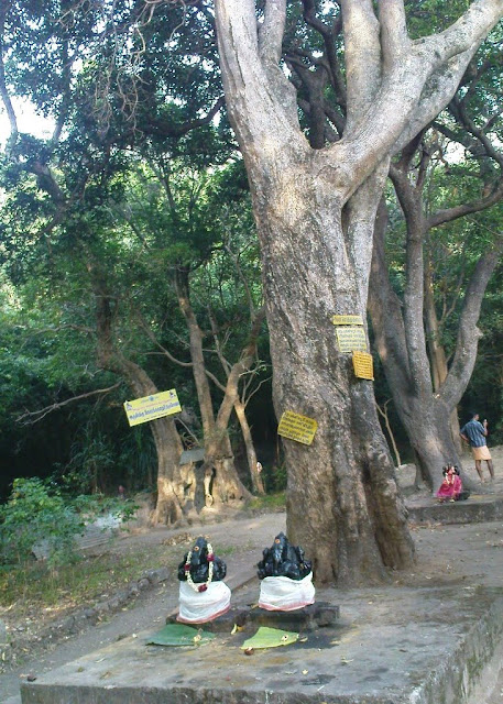 Tamilnadu Tourism: Athri Hills, Alwarkurichi, Thirunelveli