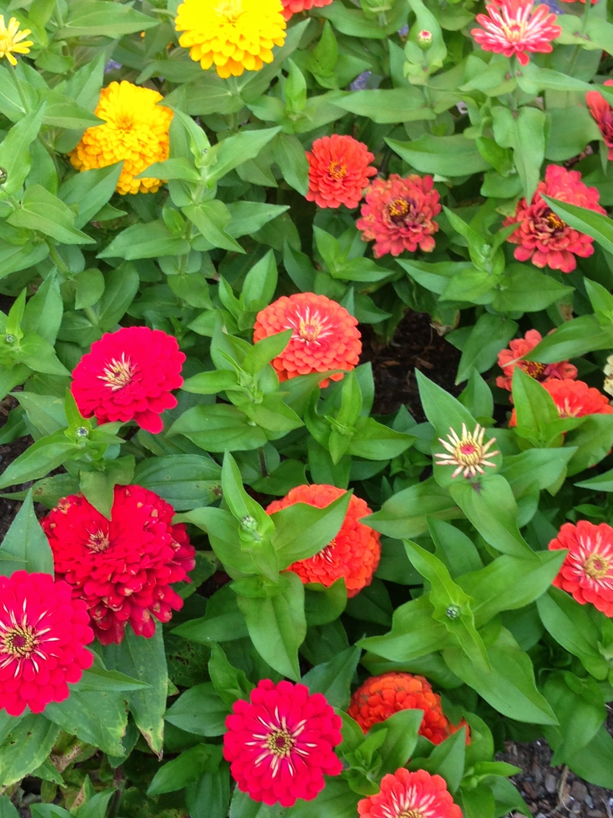 Quit Taking It Personally: Flowers (inner and outer)