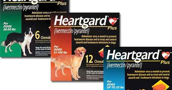 Secrets of a Vet Tech: The Pet Parent Professor: Using Heartguard ...
