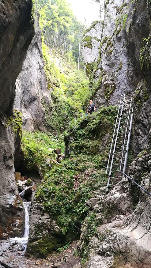 Wikiloc | Timisu de Jos Cañón de las Siete Escaleras y Barranco del Oso ...