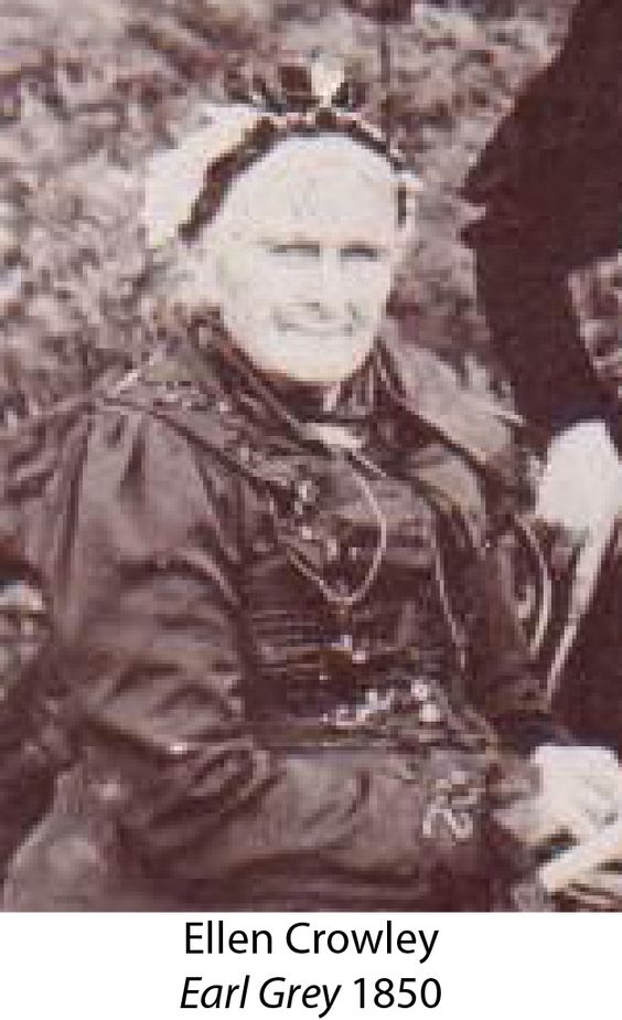 HEADLINES OF OLD: FOLLIES, FEARS & FORTUNES? FEMALE CONVICTS - TROVE ...