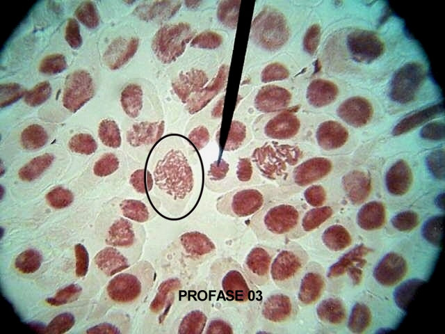 Actuaciencia: septiembre 2018