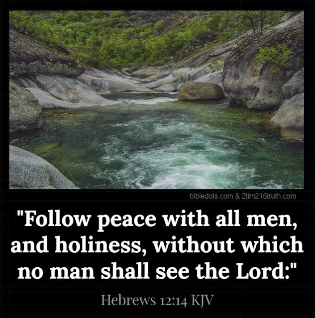 2 Timothy 2:15 Truth: Verse of the Day: Hebrews 12:14 KJV