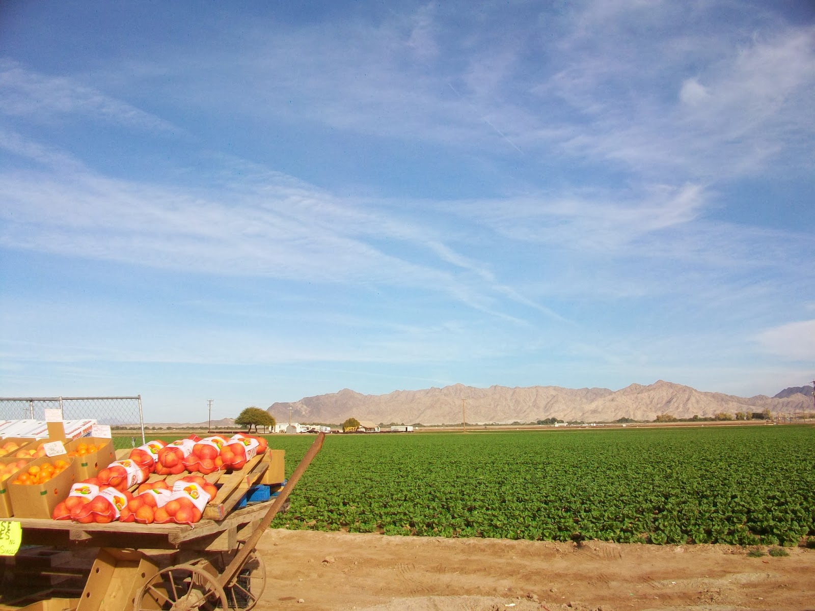 Al and Nita's Travels: Boondocking near Yuma, Arizona
